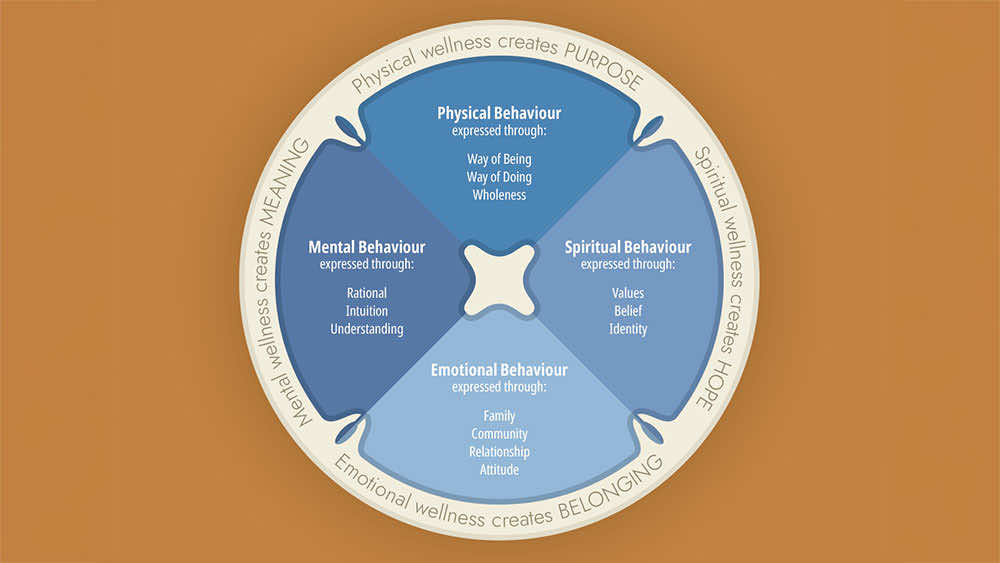 Indigenous Wellness Framework - Soaring Together